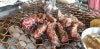 문경 초계한우 문경 맛집 초계 한우 한마리 초계 반반 마리 한우 맛집 문경 소고기 초계별채 문경 카페